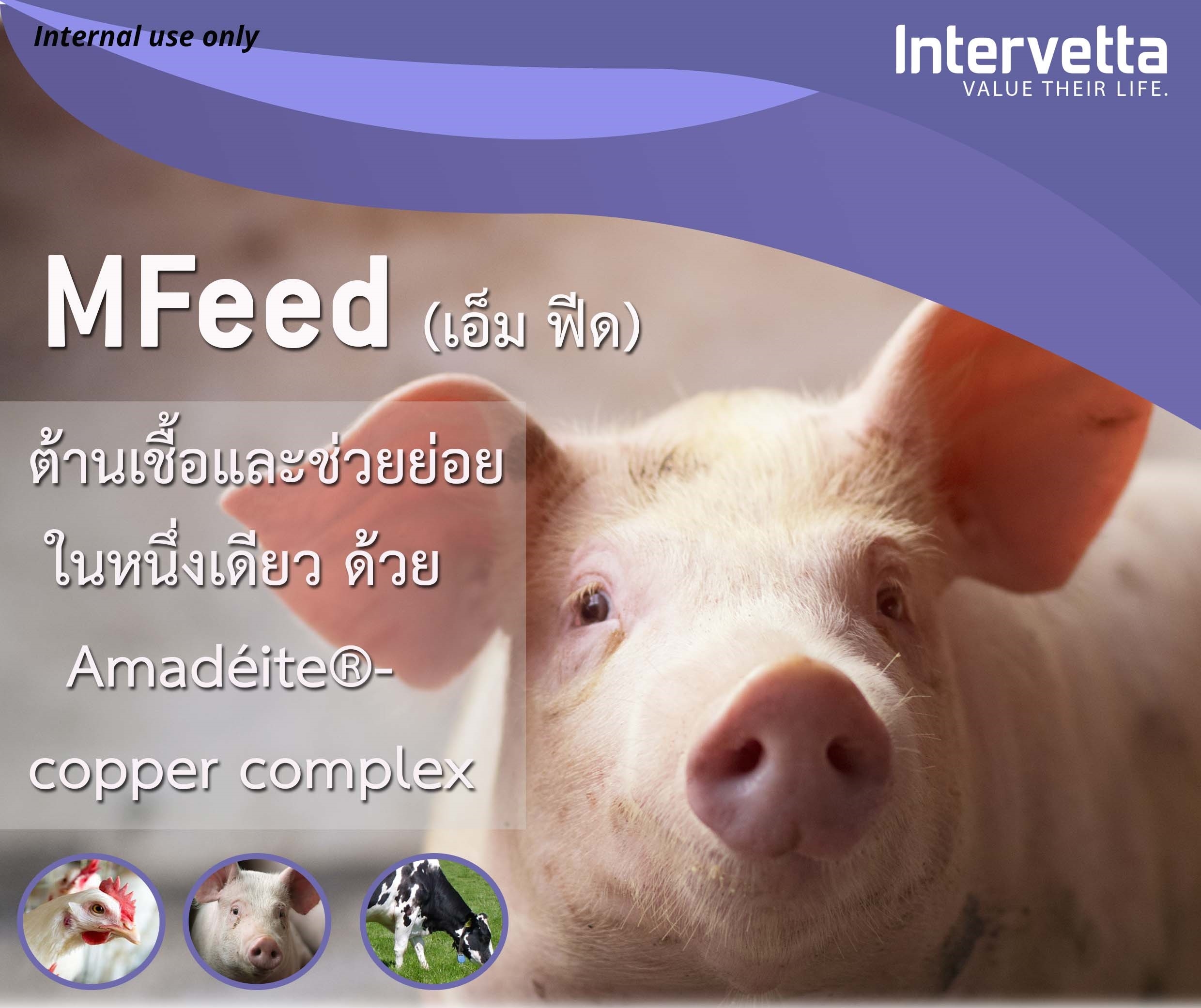 MFeed - Interpharma Group