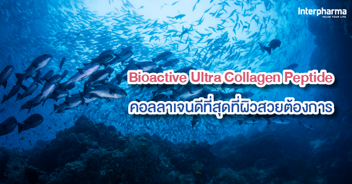 Bioactive Ultra Collagen Peptide คอลลาเจนดีที่สุดที่ผิวสวยต้องการ ...